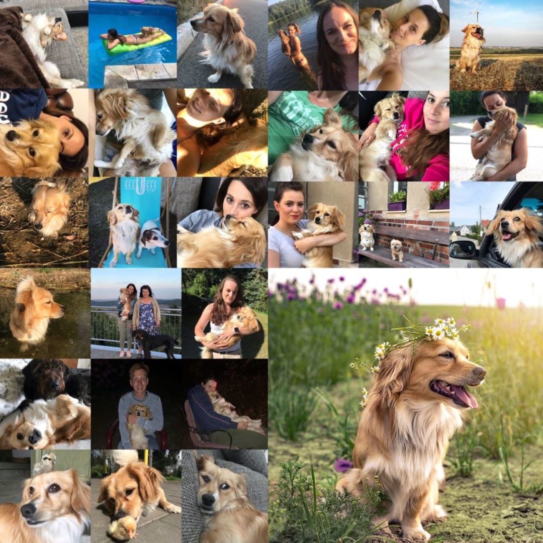 Cagnotte : Mucki's Vermächtnis | Leetchi