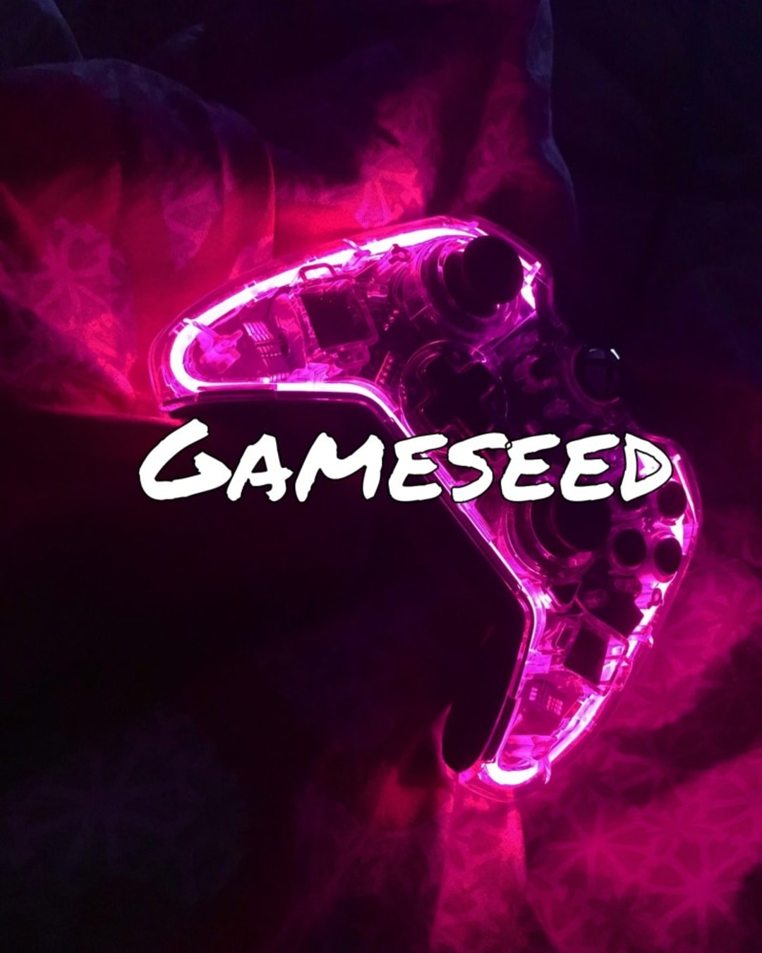 Cagnotte : Gameseed | Leetchi