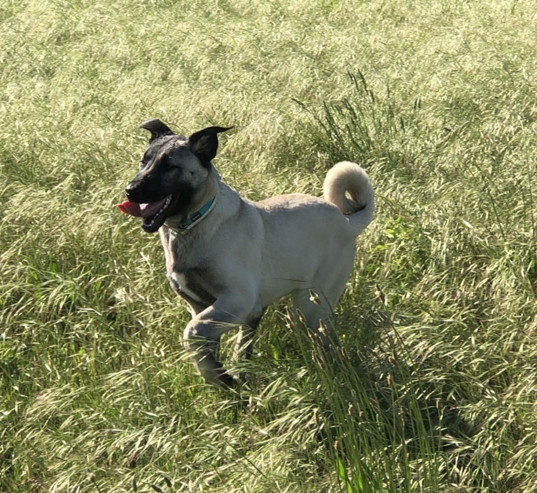 Cagnotte : Help for Skÿ - Leetchi.com