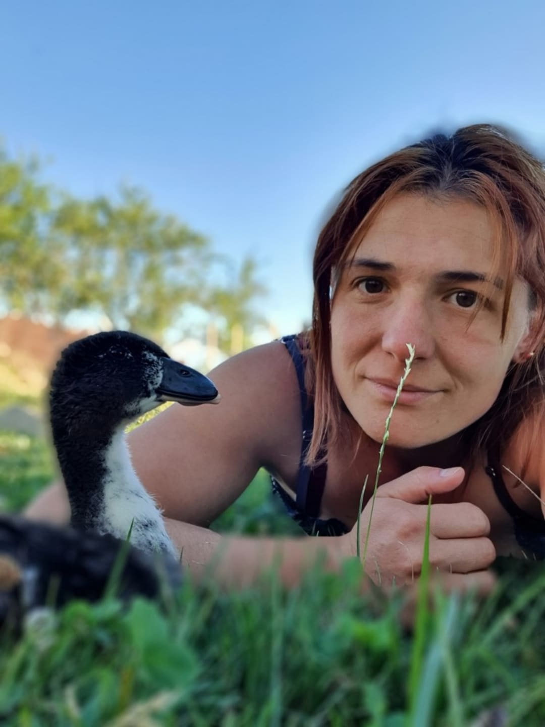 Cagnotte : La ferme pédagogique Natur'ailes | Leetchi