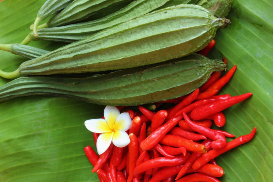 Cagnotte : Makari - Leetchi.com