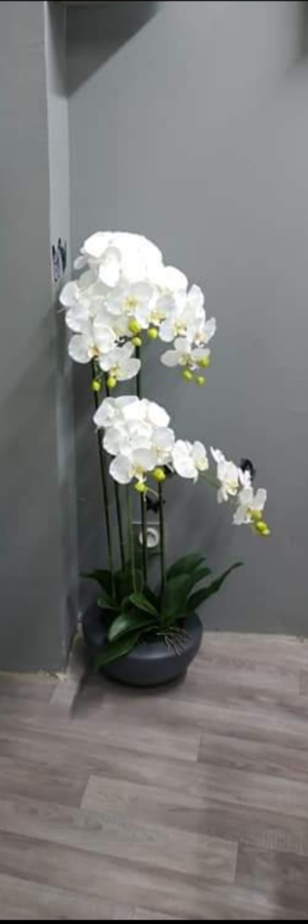 Cagnotte : Sandrine esthétique | Leetchi