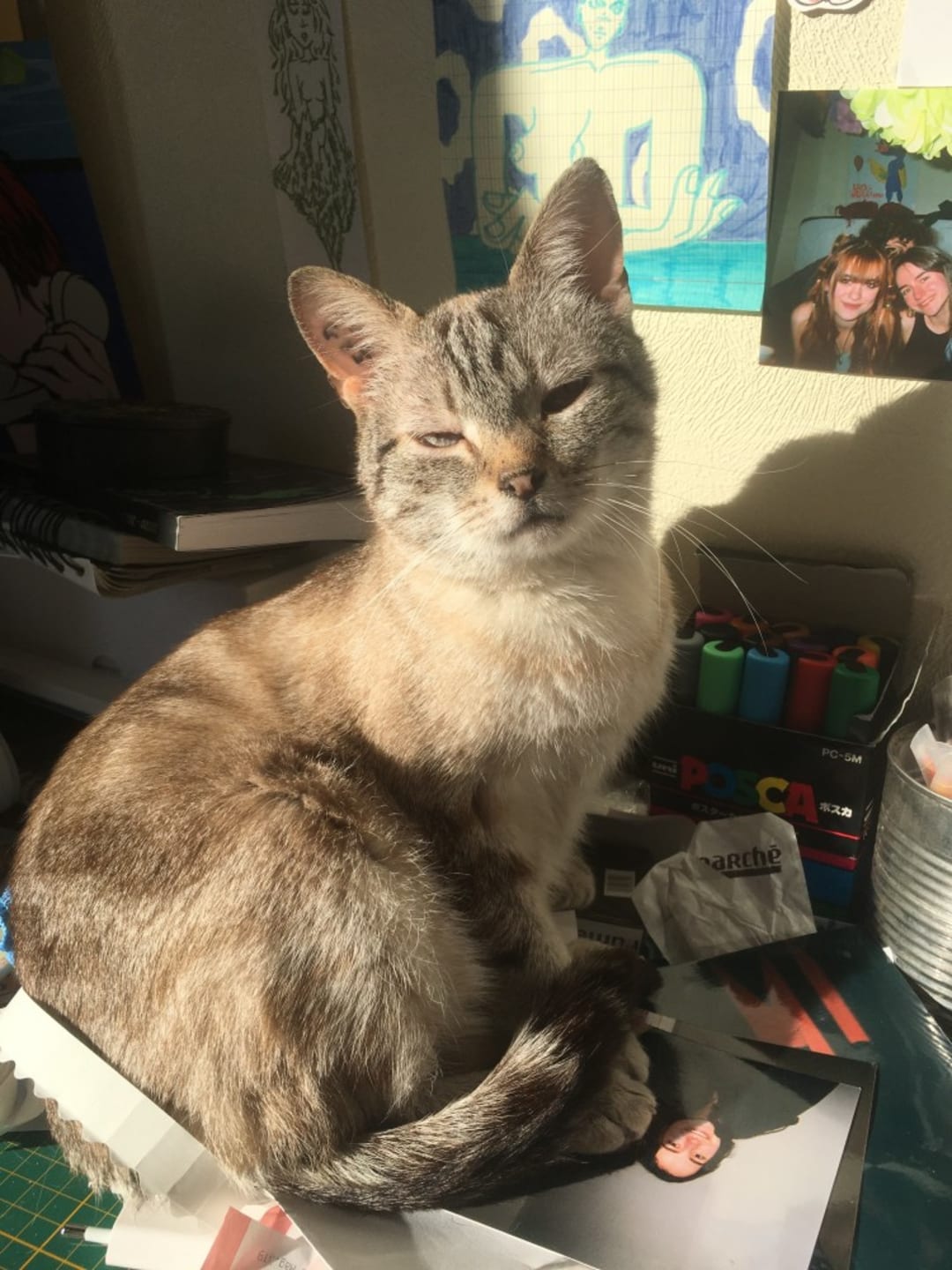 Cagnotte : Daphné GRANDJEAN - Leetchi.com