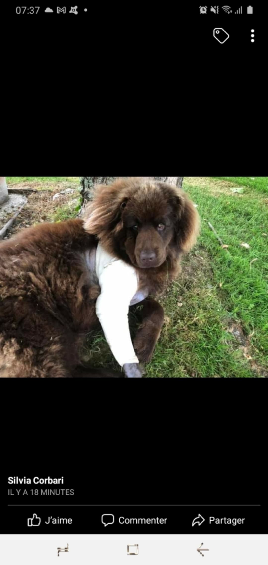 Cagnotte : Raelly | Leetchi