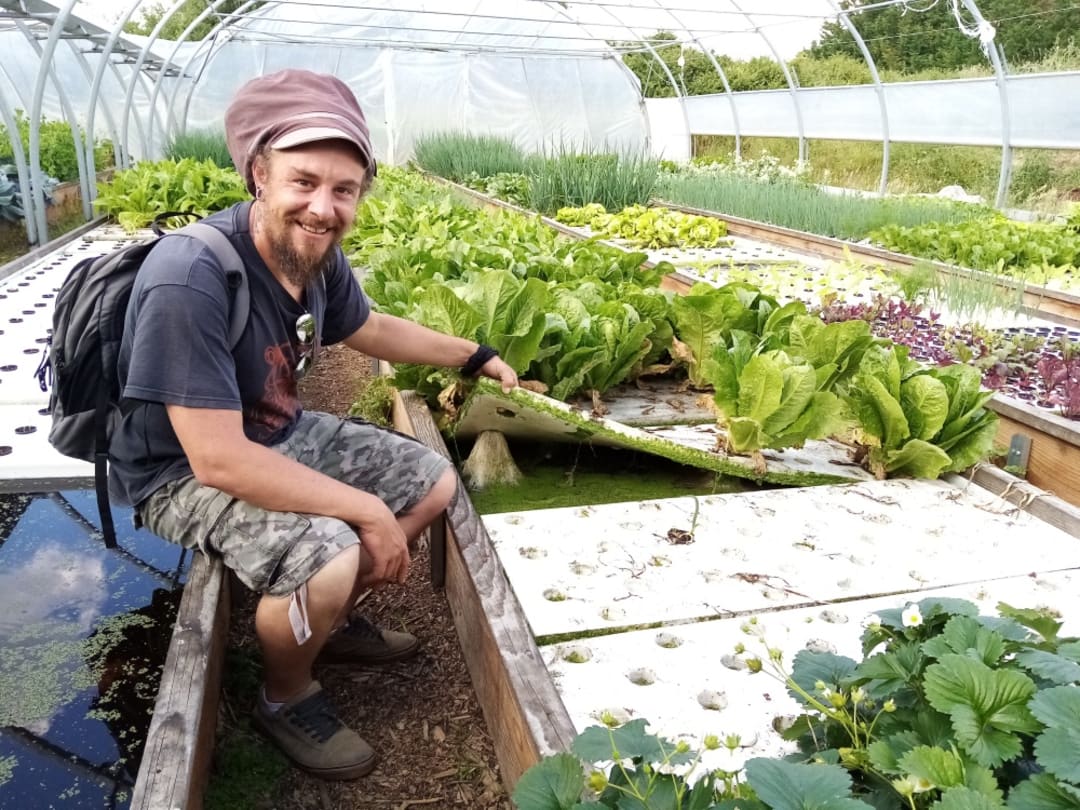 Money pot : Aidez au bois d elie - Leetchi.com