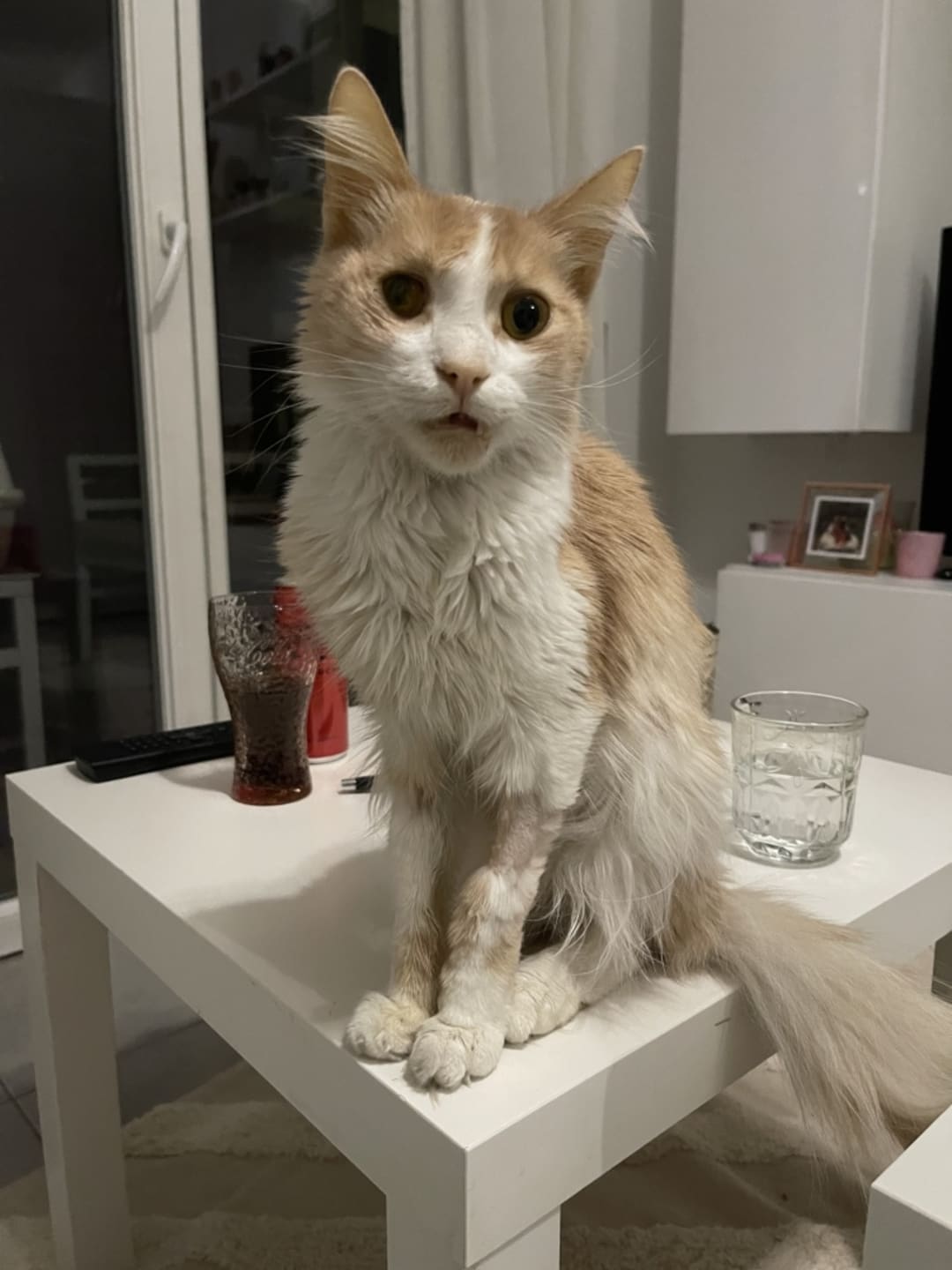 Cagnotte : Cagnotte pour Louis | Leetchi