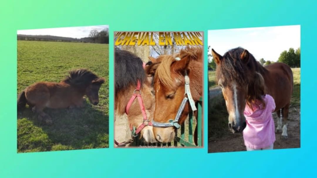 Cagnotte : UN PONEY POUR L'EQUITHERAPIE - Leetchi.com