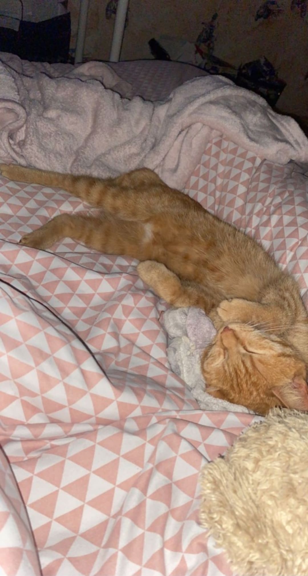 Cagnotte : Opération Yumi - Leetchi.com