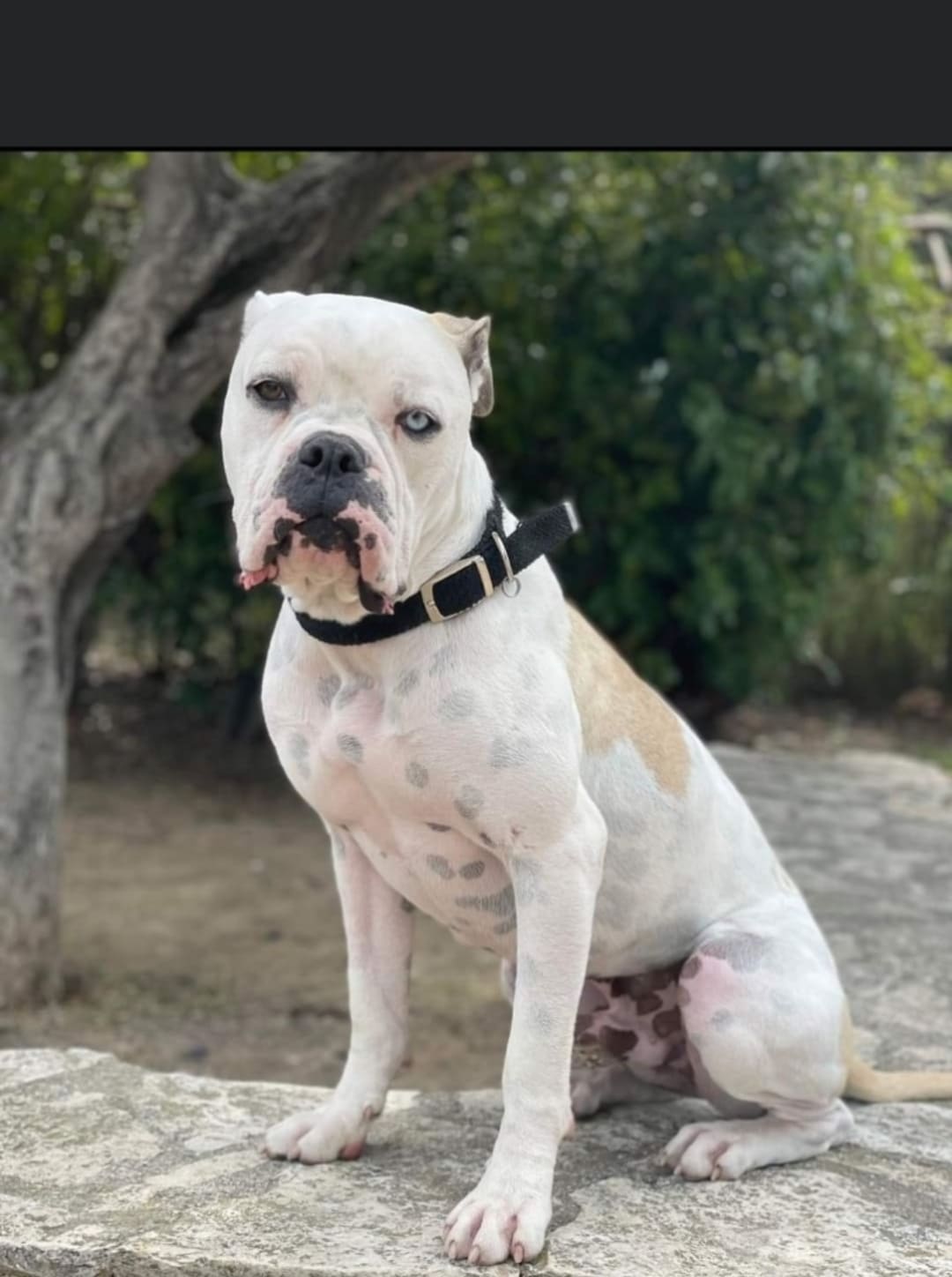 Cagnotte : Buck | Leetchi