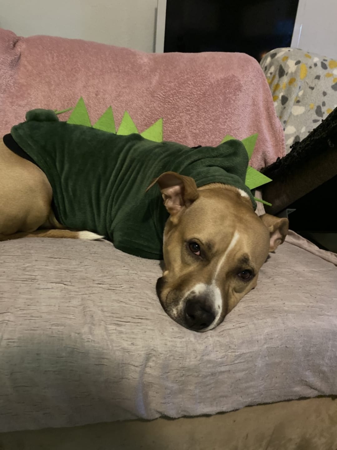 Cagnotte : Maika | Leetchi