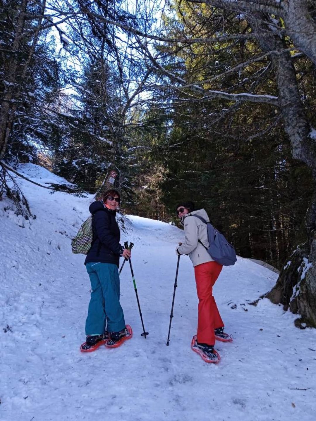 Cagnotte : Laponie Trophy 2024 😊 Les folles rêveuses | Leetchi