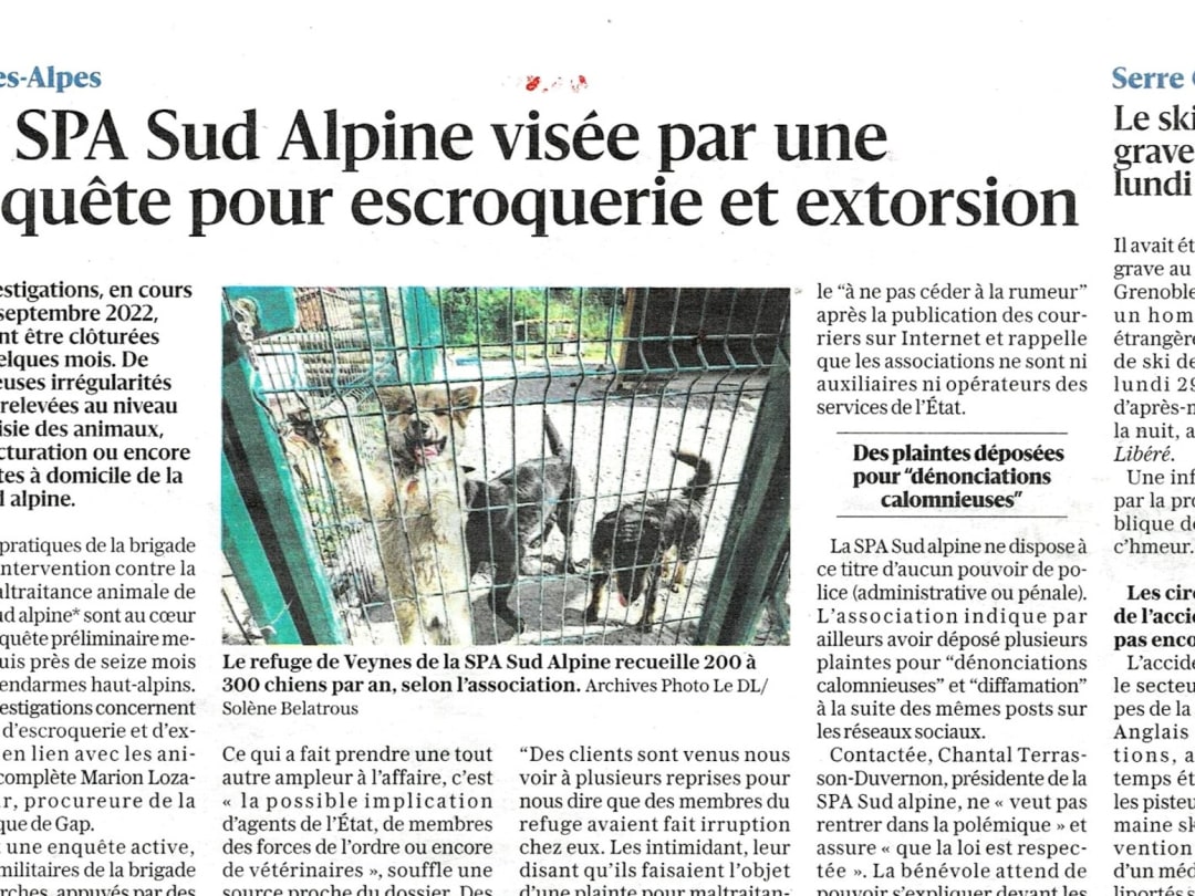 Cagnotte : Vérité et justice, protégeons les animaux - Cagnotte pour ...