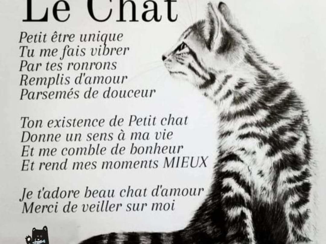 Money pot: Libérer victoria | Leetchi