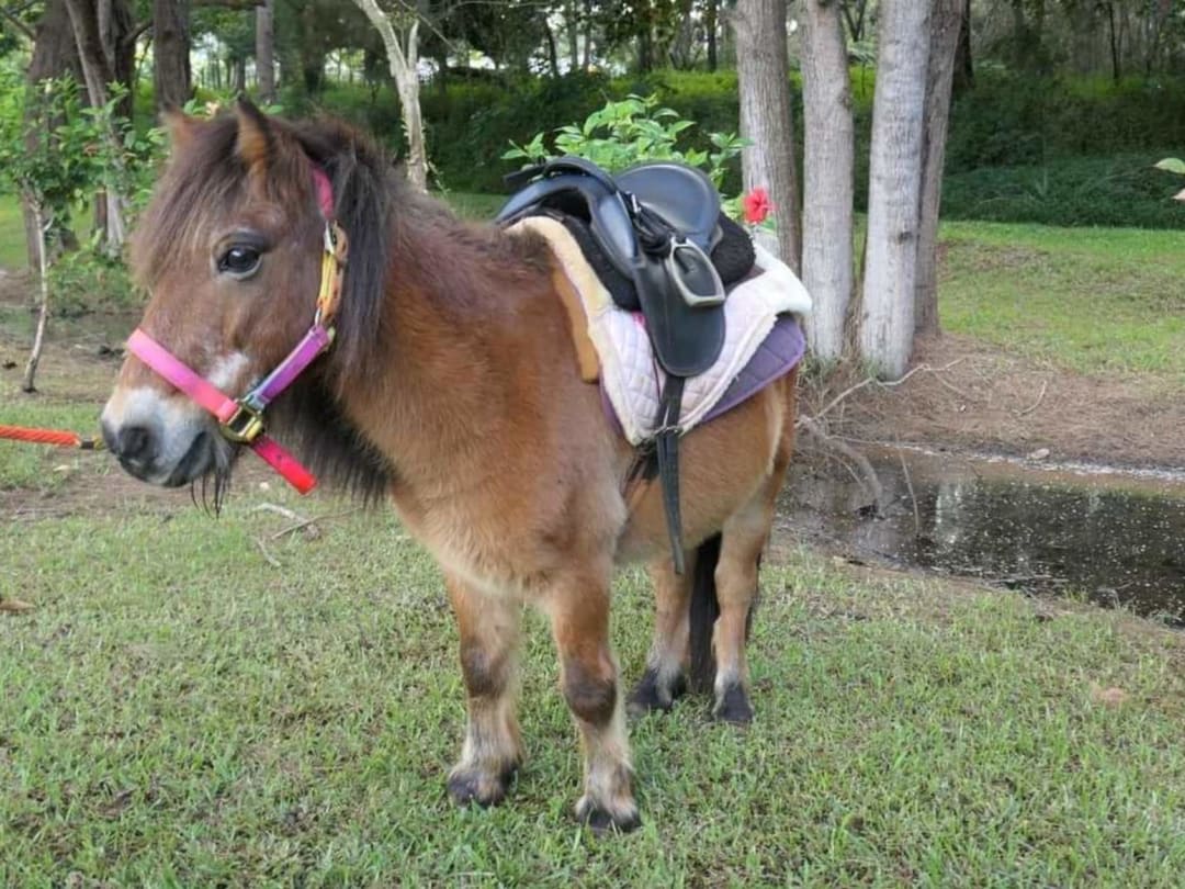 Cagnotte : Nous sommes une association donc | Leetchi