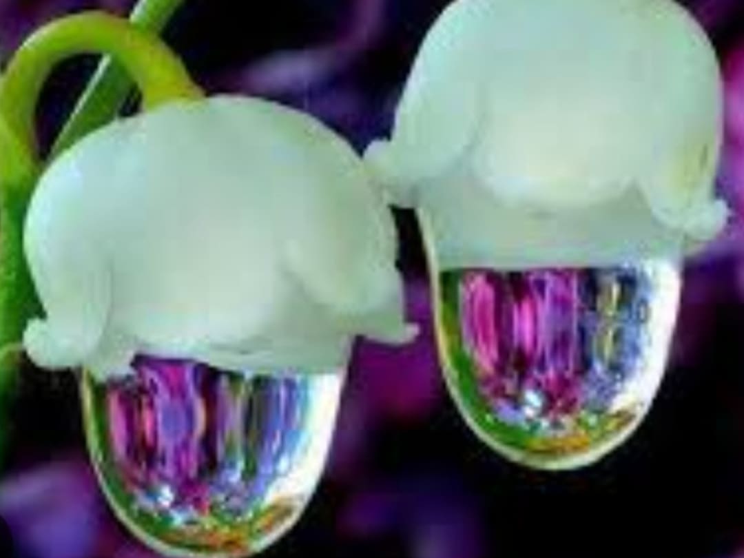 Money pot: pouvoir avancer pour une retraite paisible | Leetchi