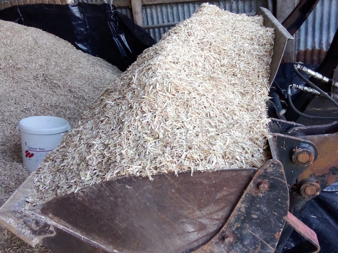 Cagnotte : Miscanthus | Leetchi