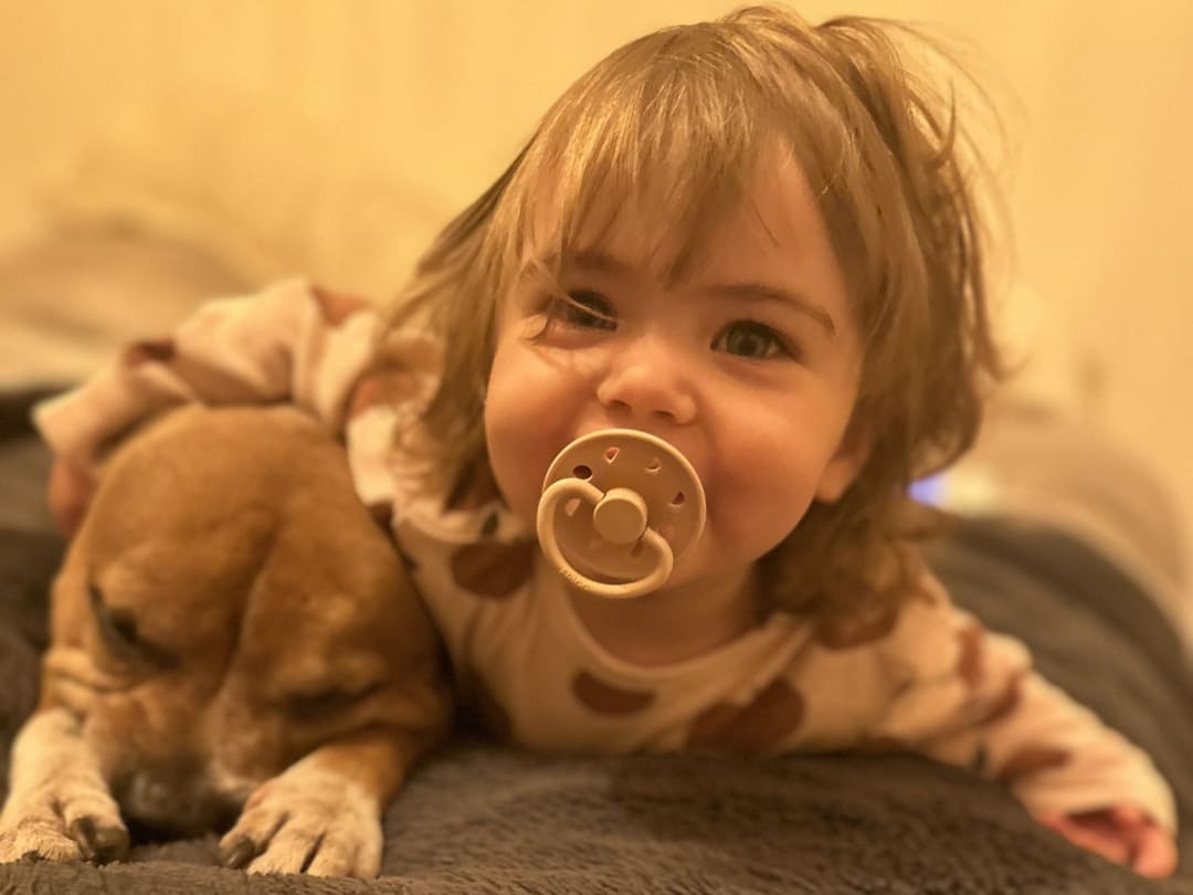 Cagnotte : Soutien pour les frais hospitaliers de Neva ♥︎ | Leetchi