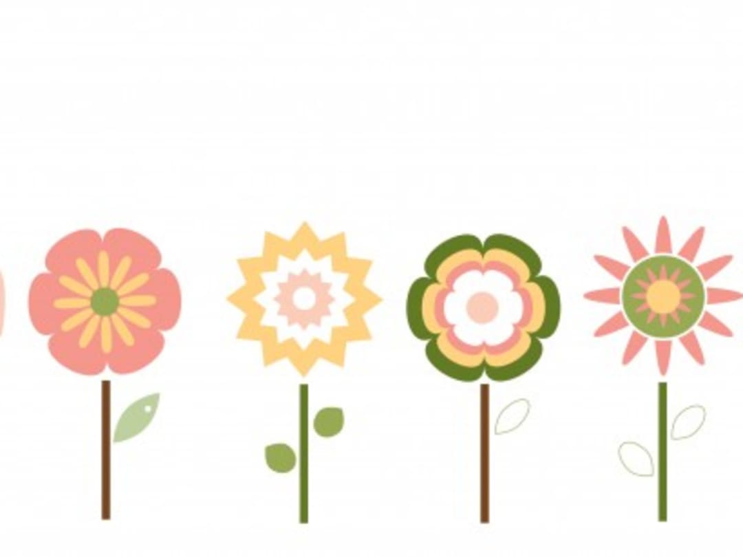 Cagnotte : Pour un rétablissement éclair de Coco ! | Leetchi