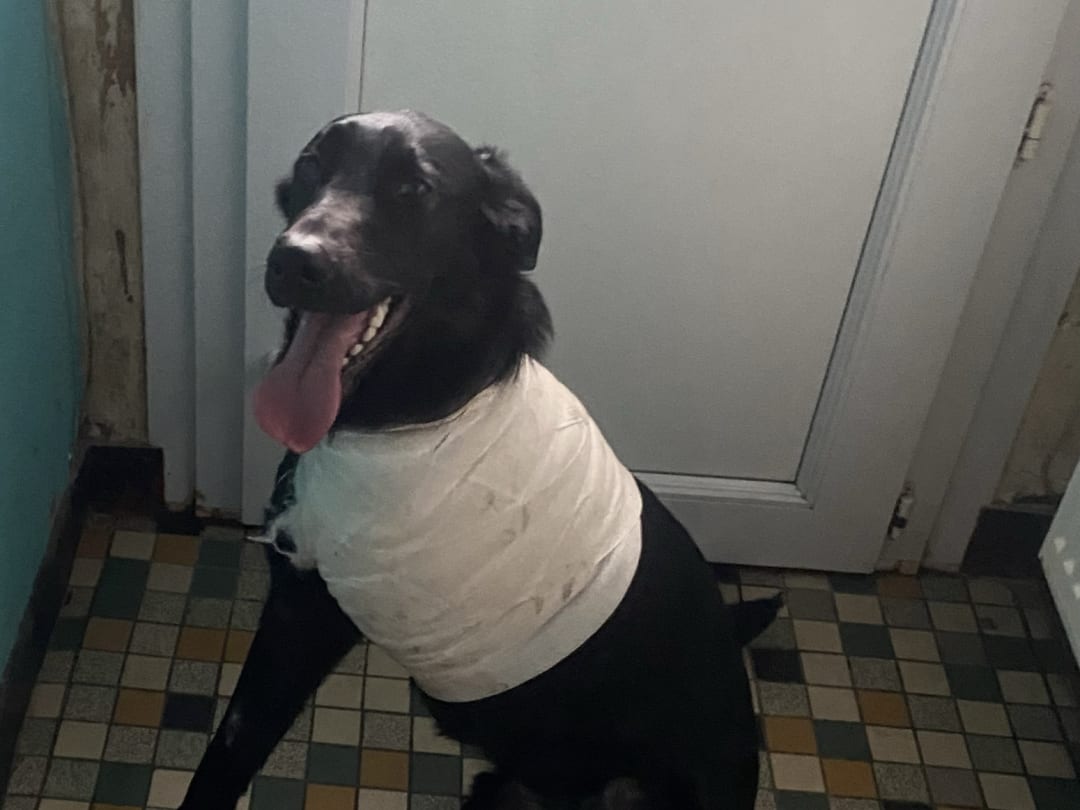 Cagnotte : M’aider à payer une opération (amputation) | Leetchi