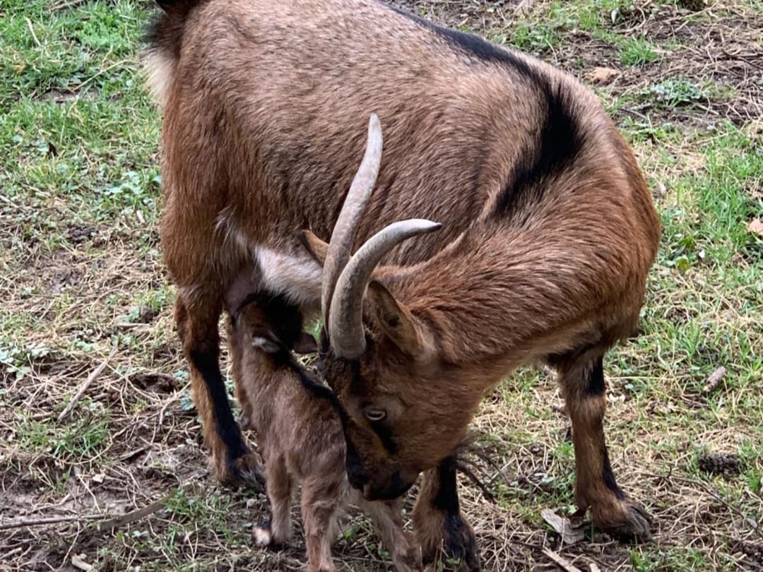 Cagnotte : Sanctuaire éducatif pour la biodiversité | Leetchi