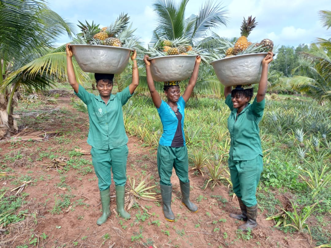 Money pot: Soutenez la naissance de notre ferme agricole | Leetchi