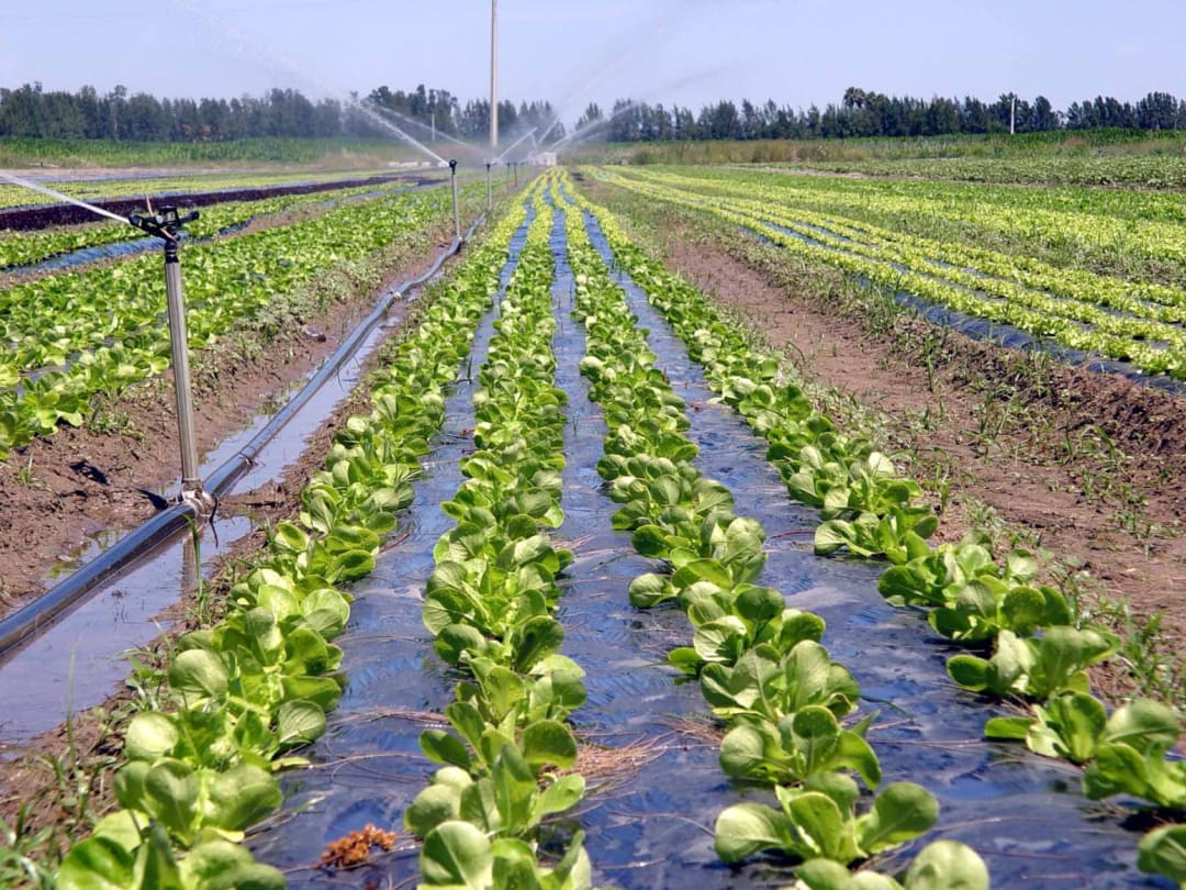 Money pot: création de micro entreprise | Leetchi