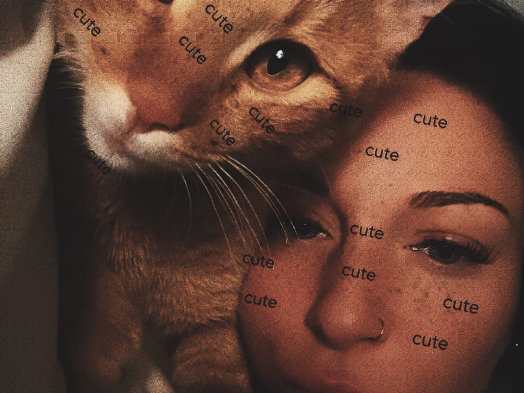 Cagnotte : Aider mon chat 🙏🏼 | Leetchi