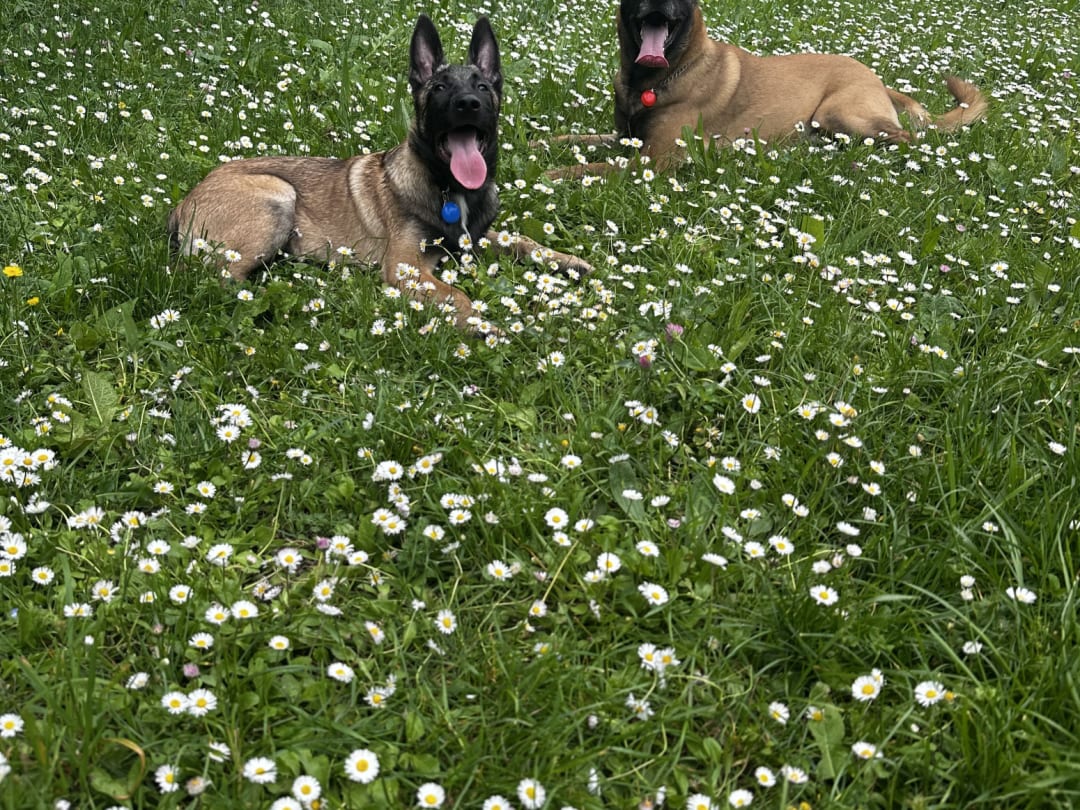 Cagnotte : Aide pour repartir à zéro. | Leetchi