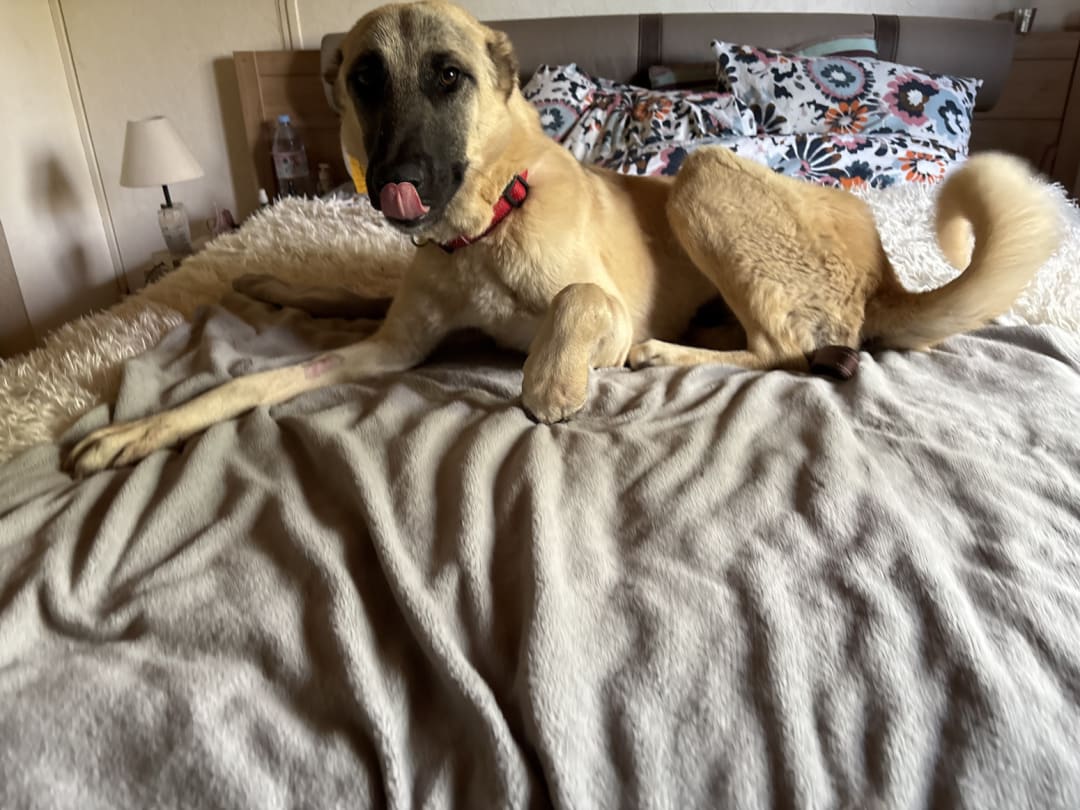 Cagnotte : Ed et shenzy | Leetchi