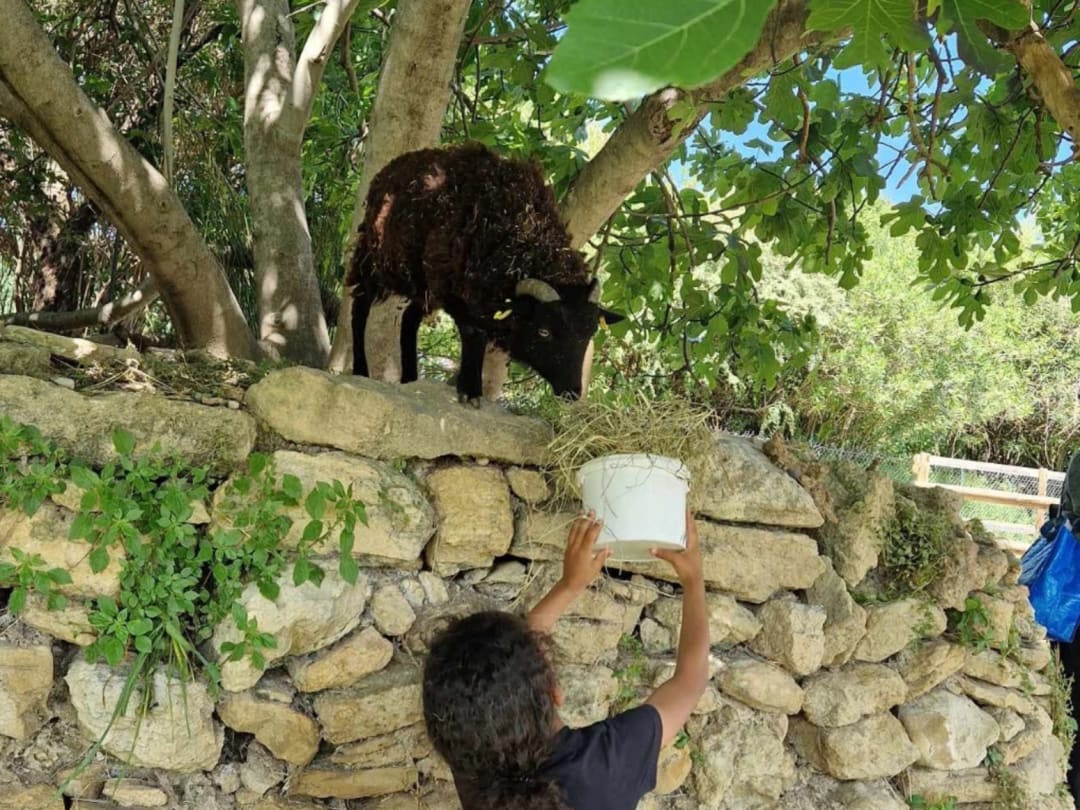 Money pot: 🚨 Urgence : la ferme éducative risque de fermer ! 🚨 | Leetchi