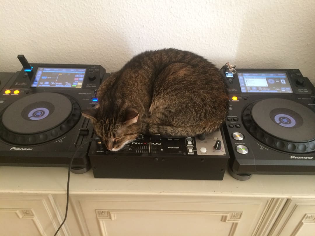 Cagnotte : Goodbye Coco | Leetchi