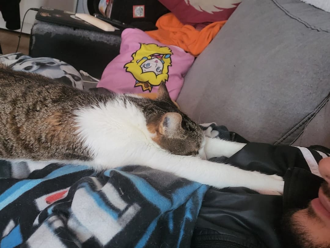 Cagnotte : Frais vétérinaire de Snow | Leetchi