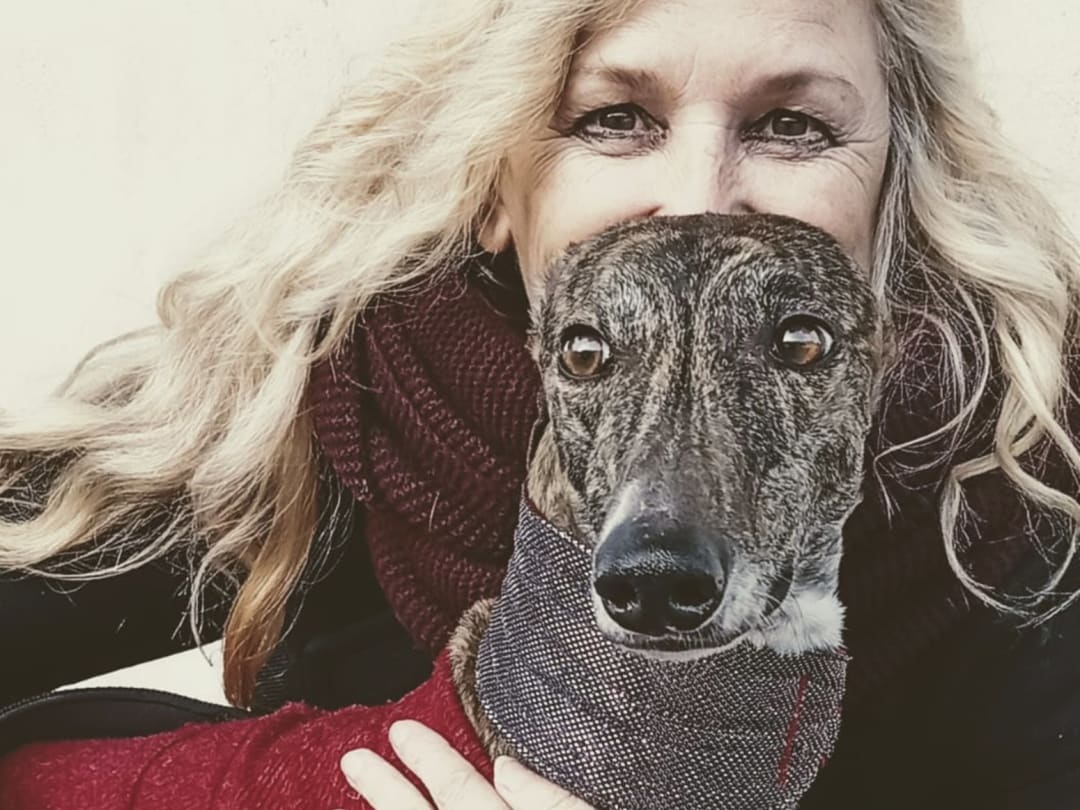 Cagnotte : Sauvons Bel le Lévrier de ma Maman (Leishmaniose ...