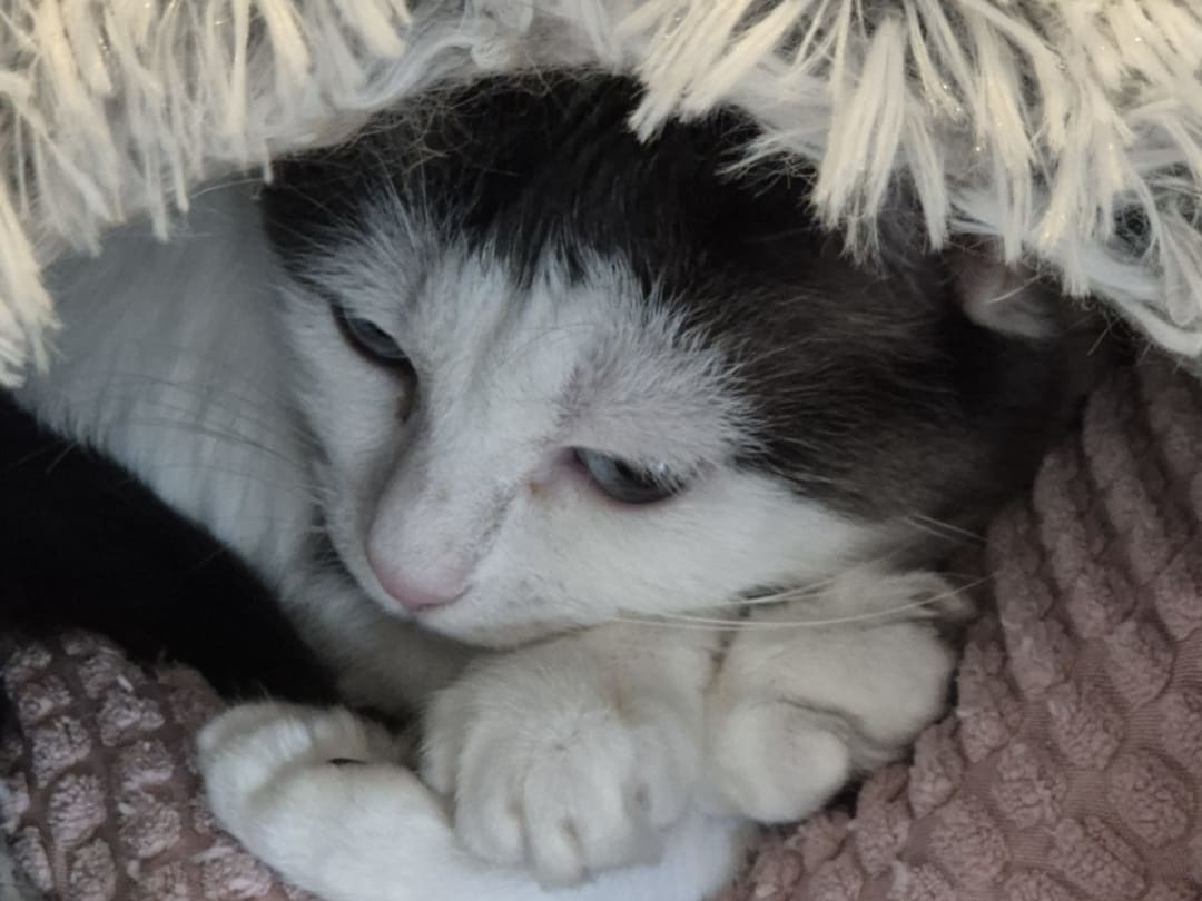 Cagnotte : Construire ma maison | Leetchi