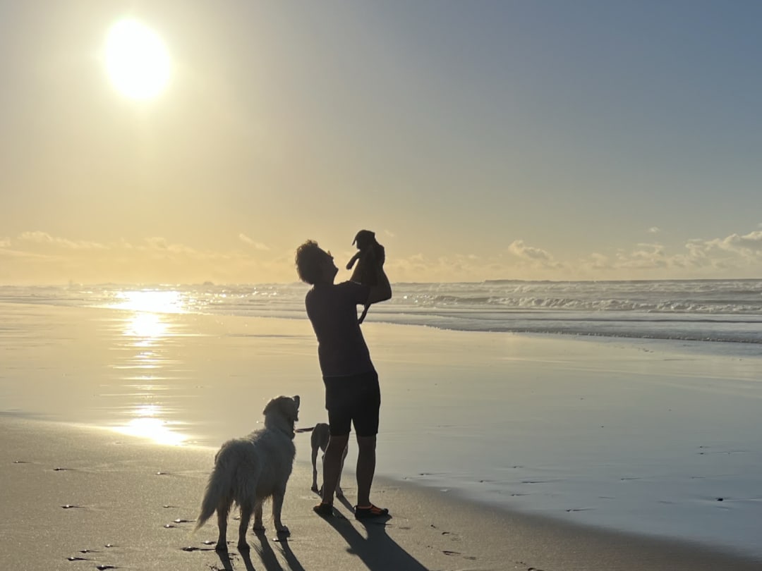 Cagnotte : Les chiens errants du Club Évasion | Leetchi