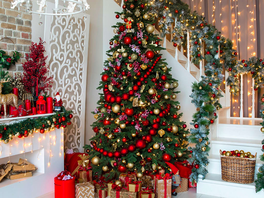 Cagnotte : Un sapin pour Bidule | Leetchi
