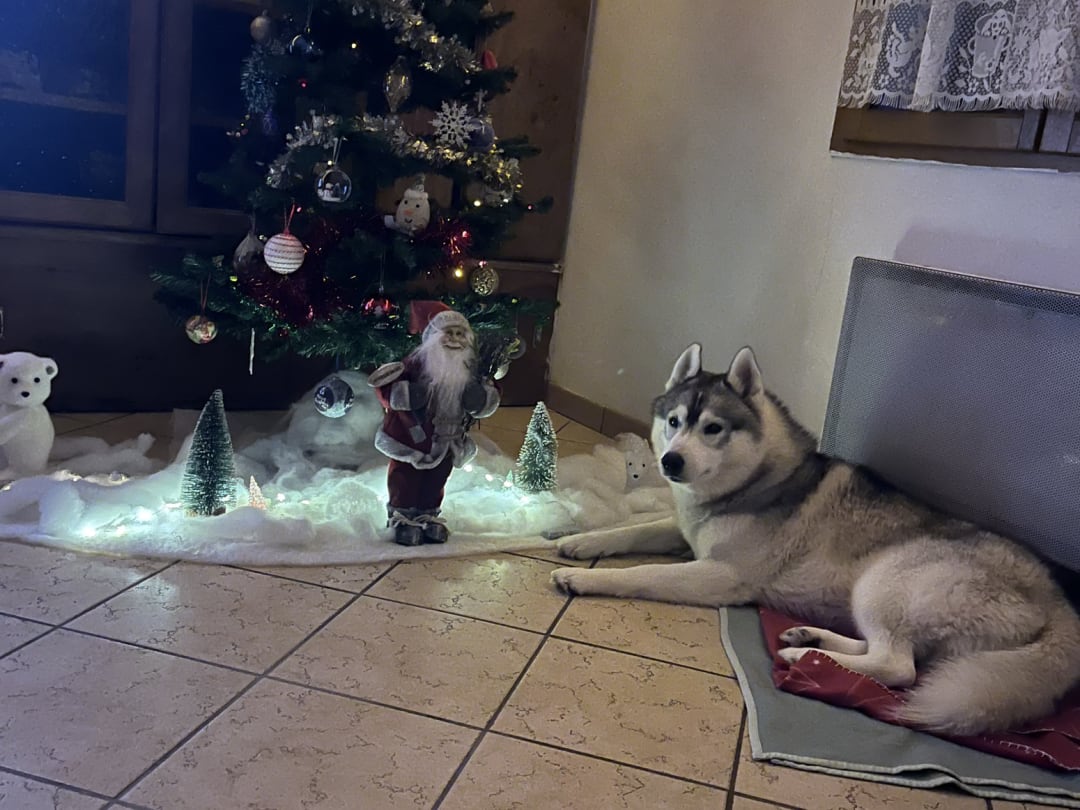 Cagnotte : Opération de topaz | Leetchi