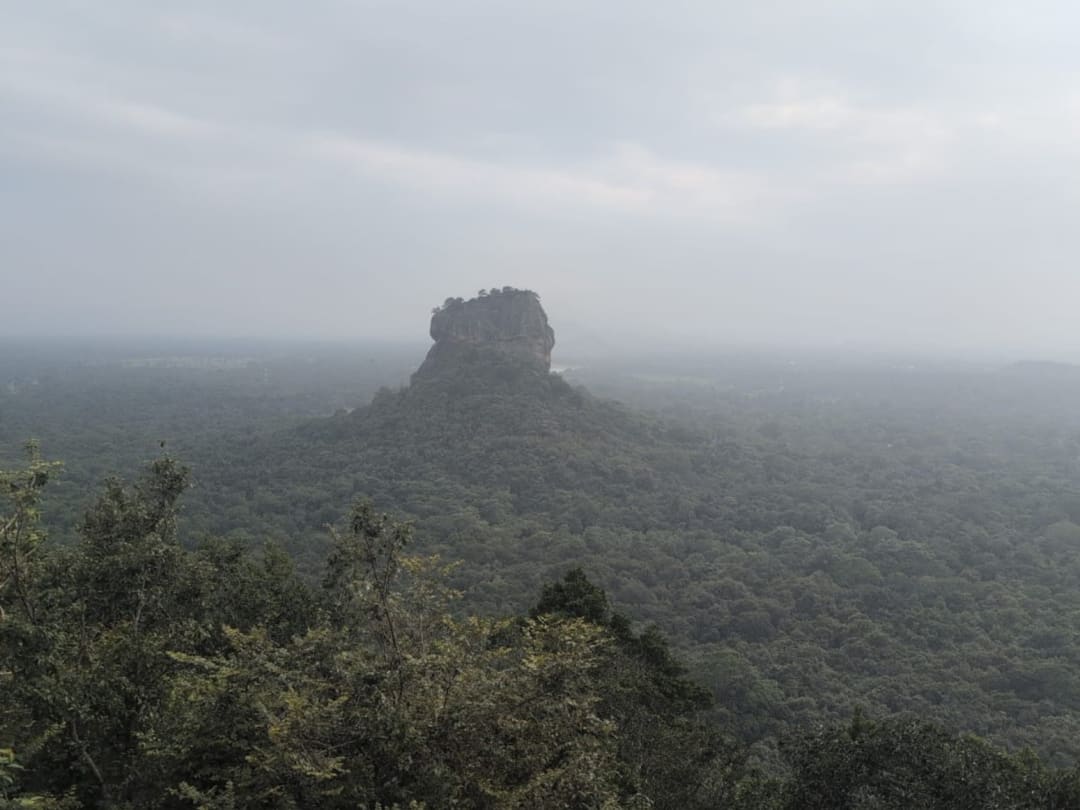 Money pot: Mission Kerala : loger, manger, rêver | Leetchi