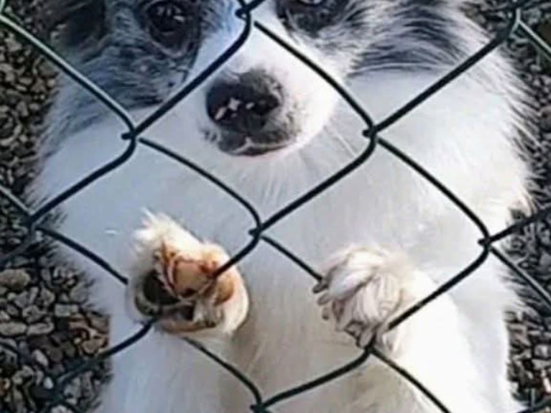 Cagnotte : BARRY HELP | Leetchi