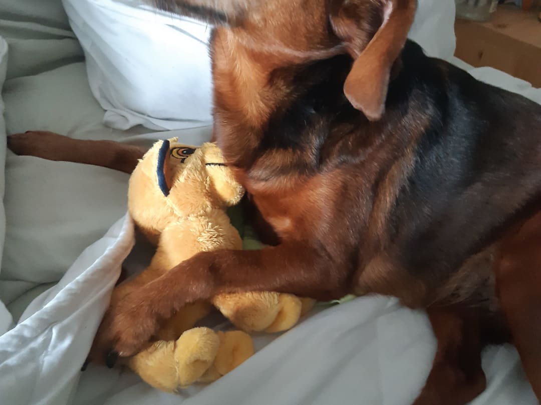 Money pot: Operation pour une prothèse. | Leetchi