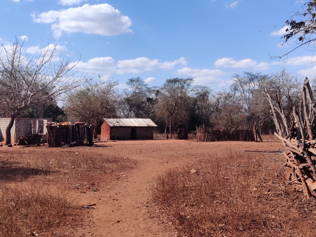 Money pot: Soutien à un ne famille Massaï | Leetchi
