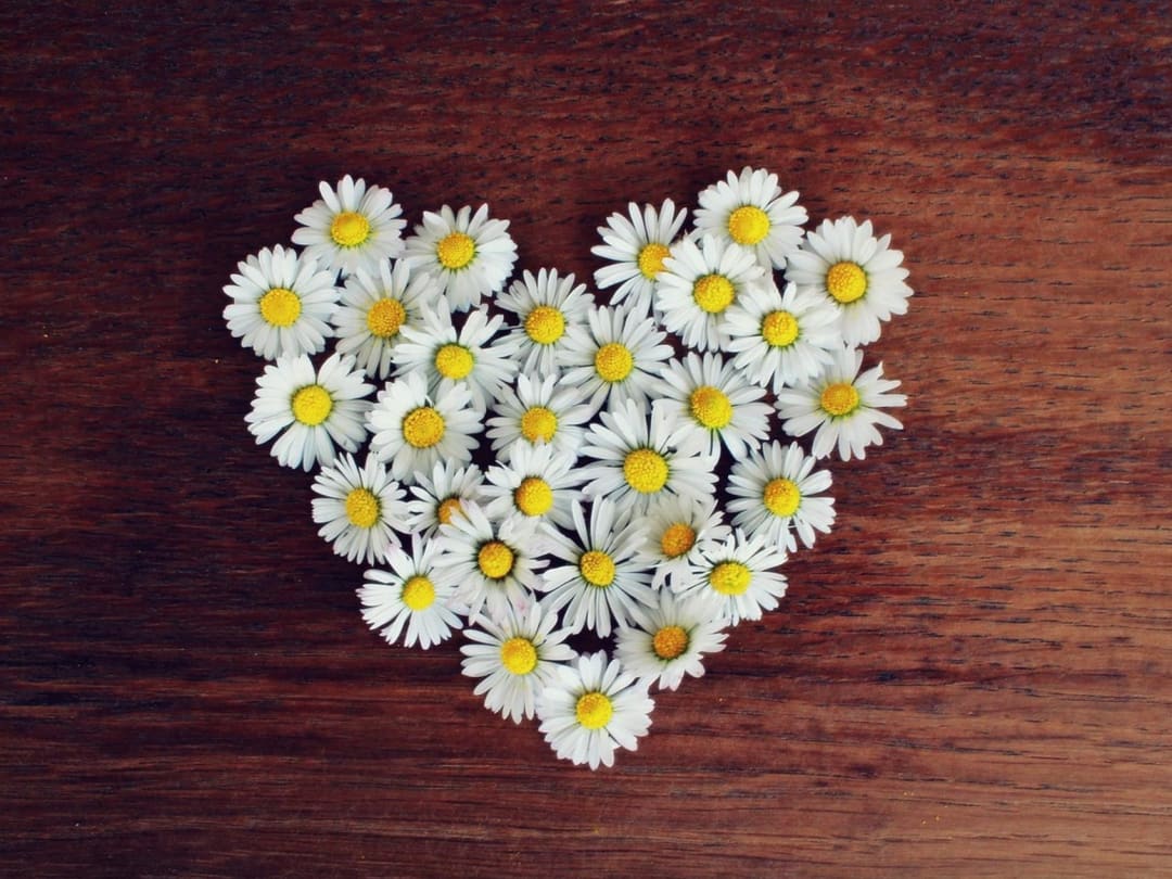 Cagnotte : Cagnotte de soutien pour Ana et ses enfants | Leetchi