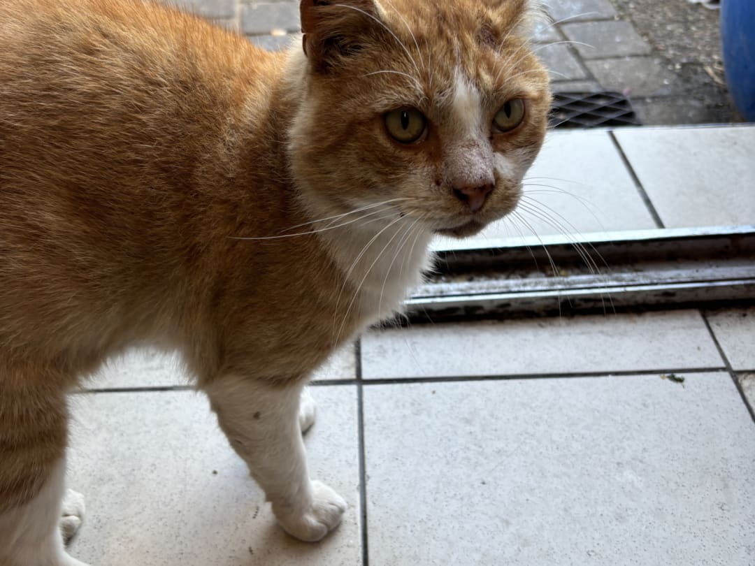 Cagnotte : Roxy | Leetchi