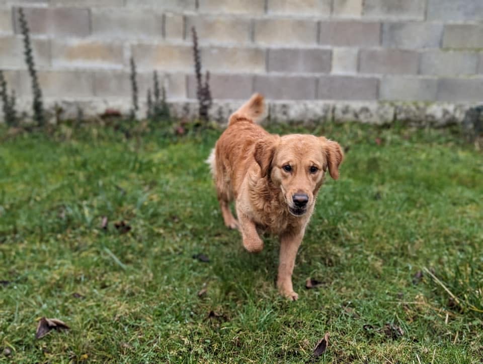 Cagnotte : Cagnotte pour notre Crevette | Leetchi