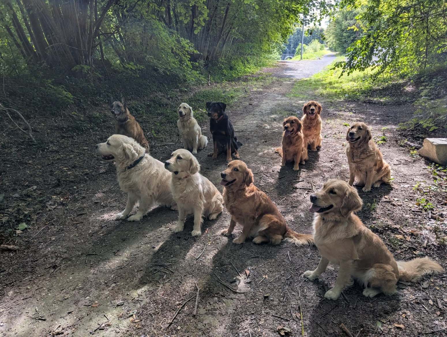Cagnotte : Cagnotte pour notre Crevette | Leetchi