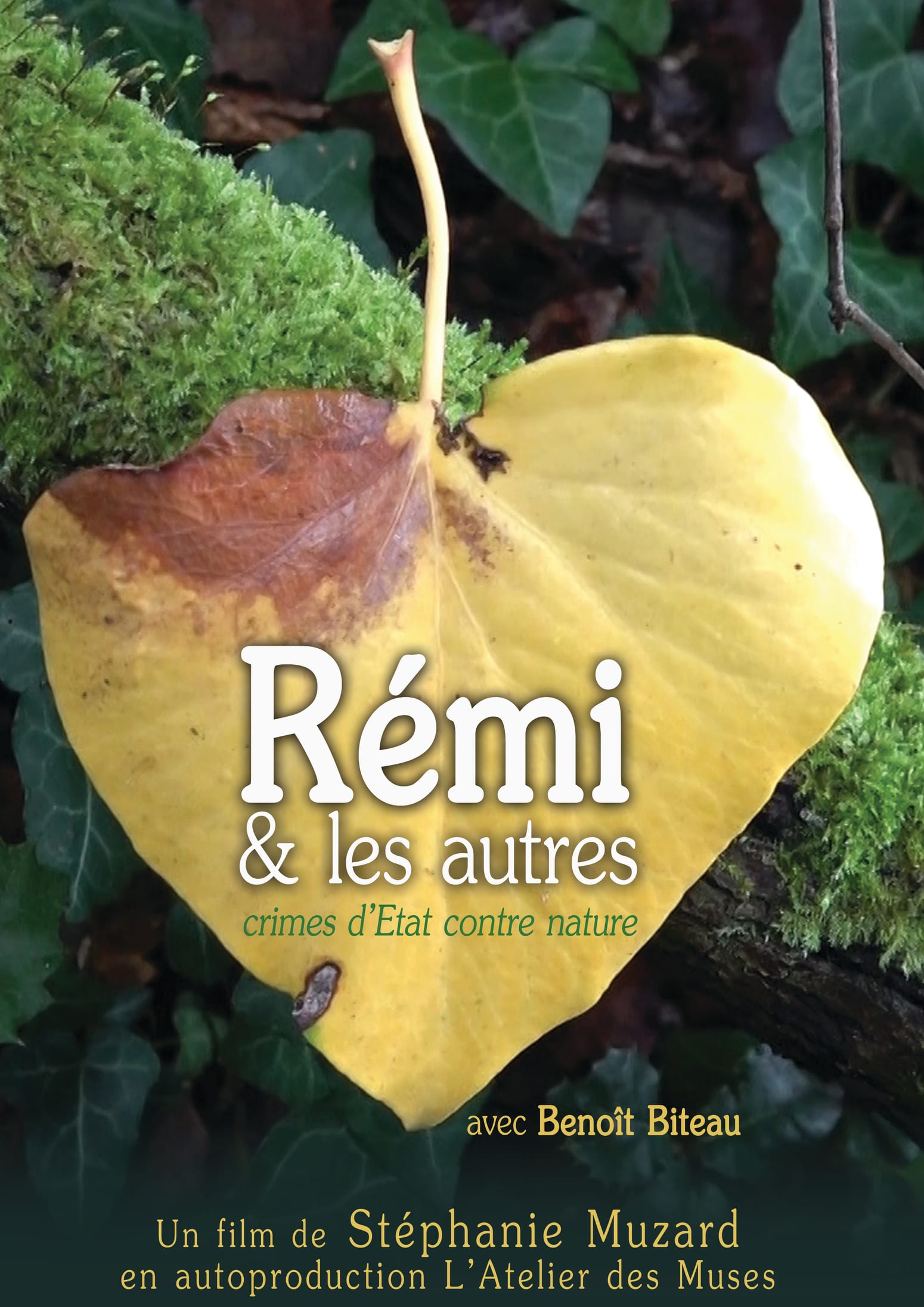 Cagnotte : Film "Rémi et les autres, crimes d'état contre nature" Stéphanie Muzard | Leetchi