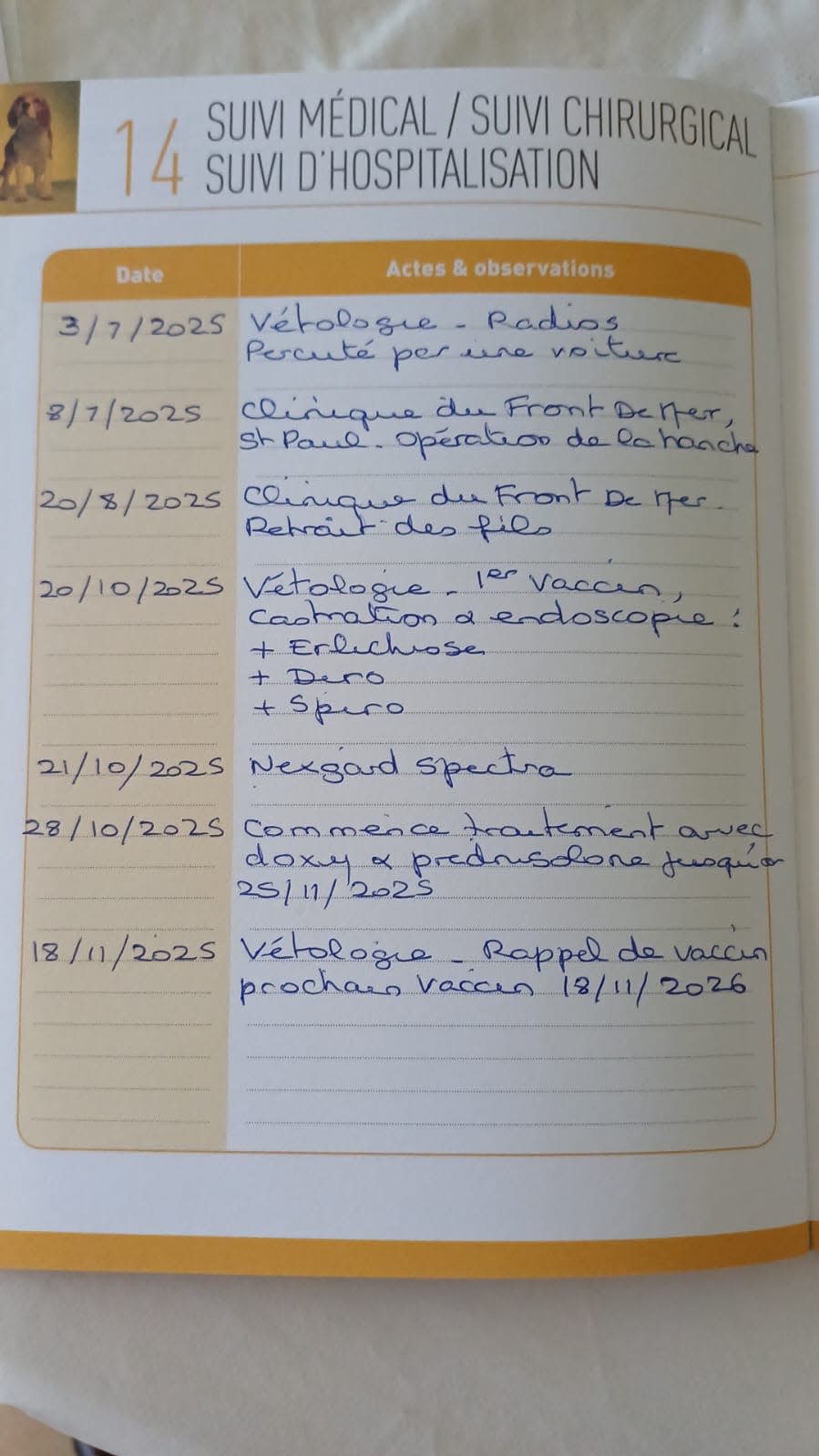 Cagnotte : Boule malade et accidenté | Leetchi