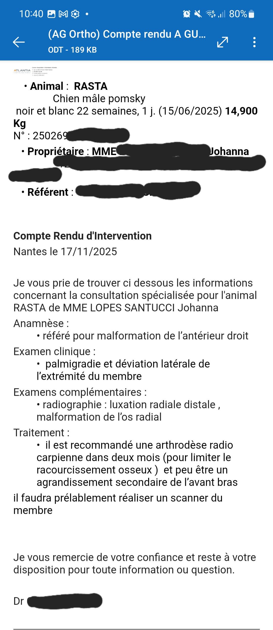 Cagnotte : Une belle patoune pour Rasta | Leetchi