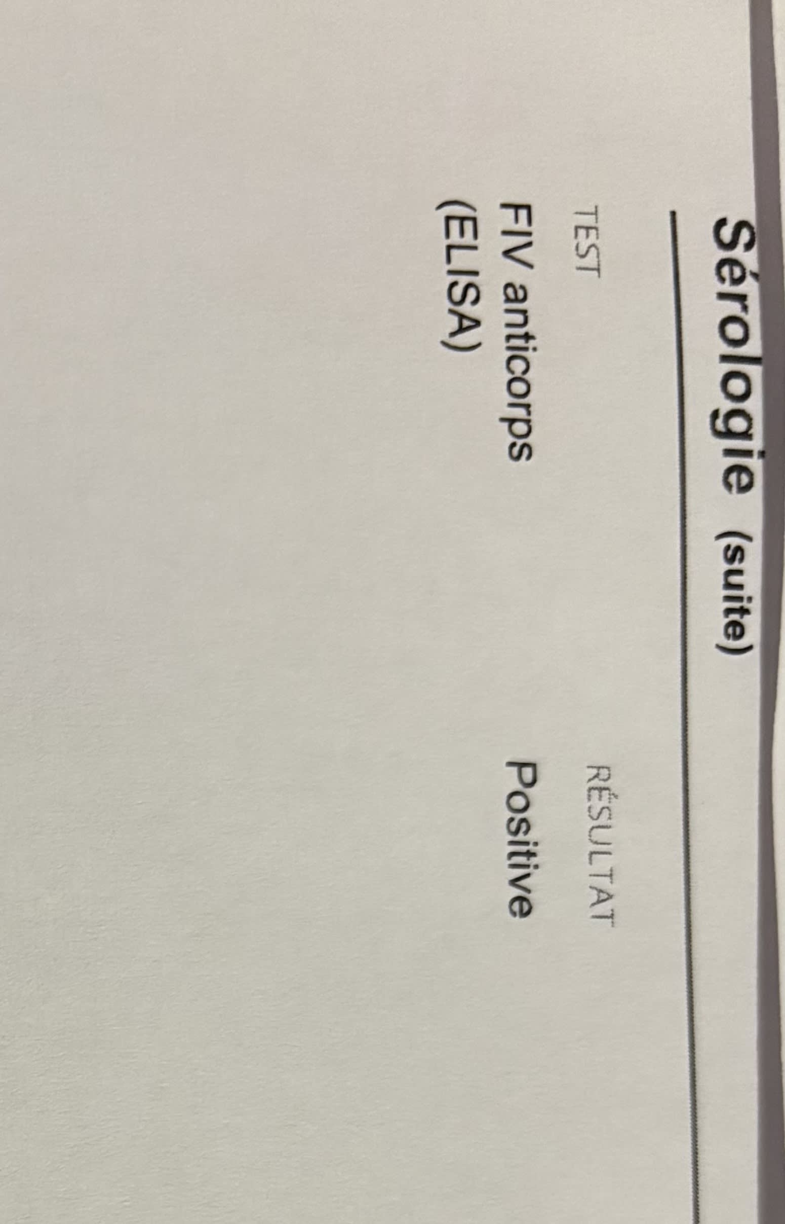 Cagnotte : Ptit chat | Leetchi