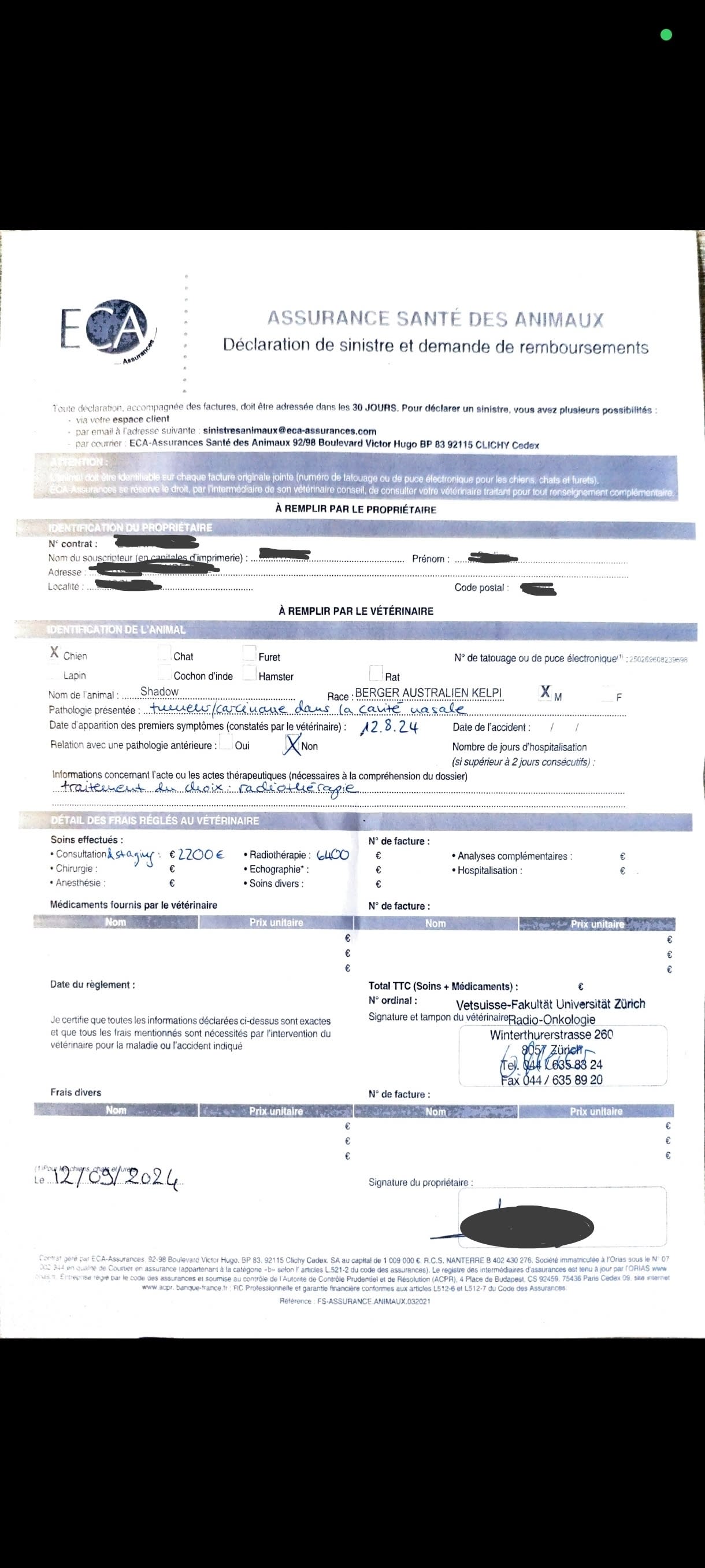 Cagnotte : Help pour Shadow - Carly & co | Leetchi